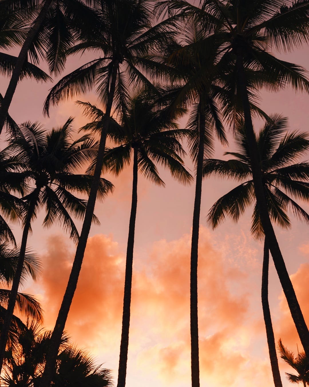 Avonturier Laura Alyce Bell toont ons met haar jaloersmakende foto's ...